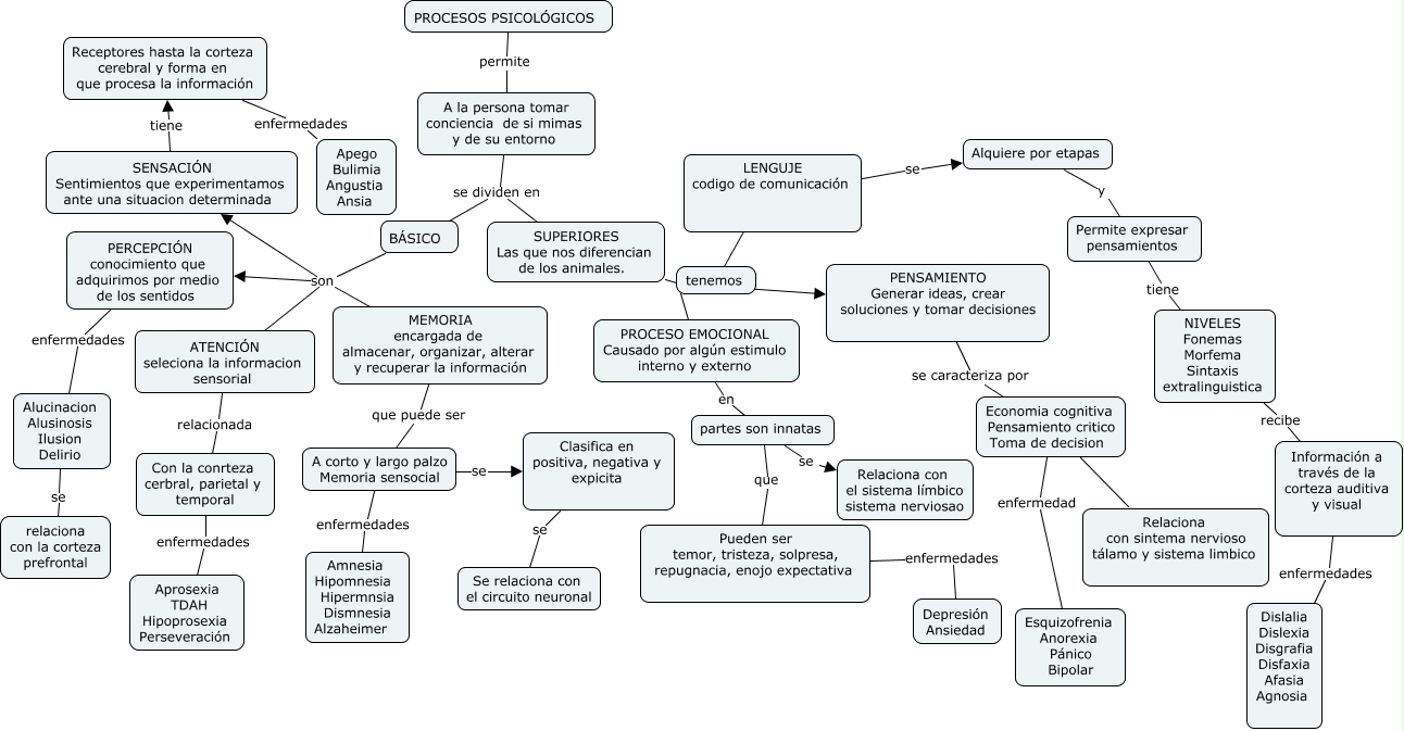 PROCESO PSICOLOGICOS BASICOS